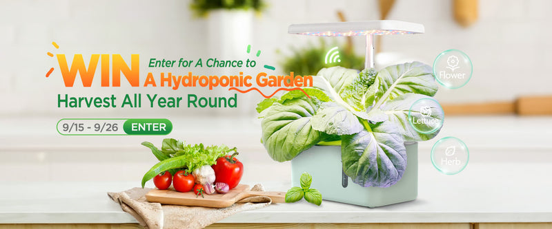 LetPot®: Smart Garden, Hydroponic Planter, Plant Waterer, and More