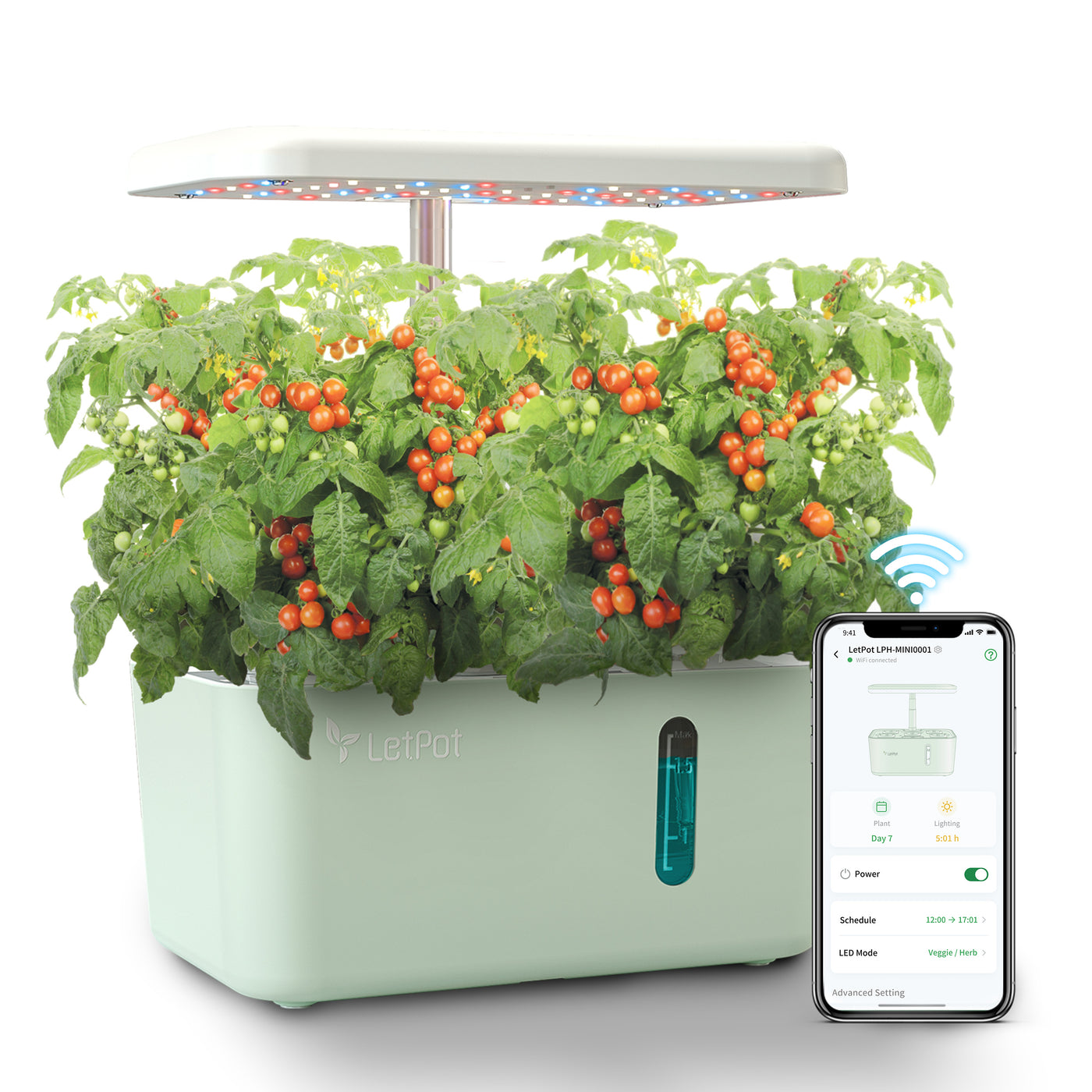 LetPot Mini Indoor Hydroponic Garden with App Control, Indoor growing ...