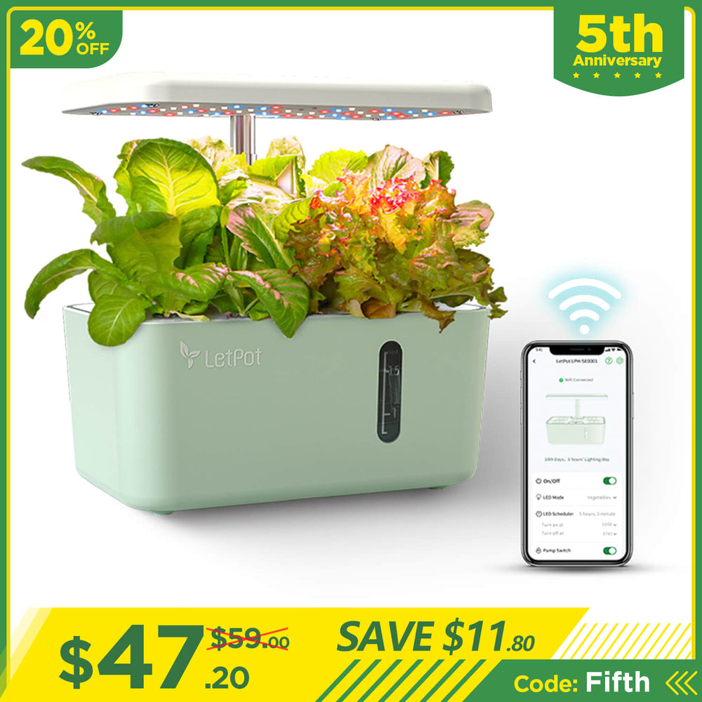 LetPot Mini Indoor Hydroponic Garden with App Control, Indoor growing ...