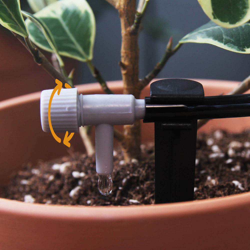 Drip irrigation system - Giveaway
