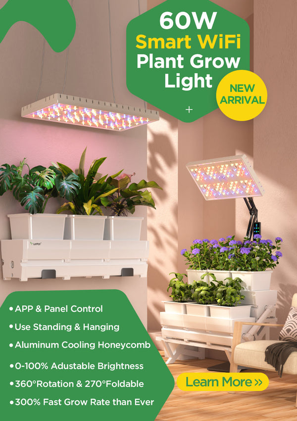LetPot® indoor Garden, Hydroponic Smart Planter with App Control