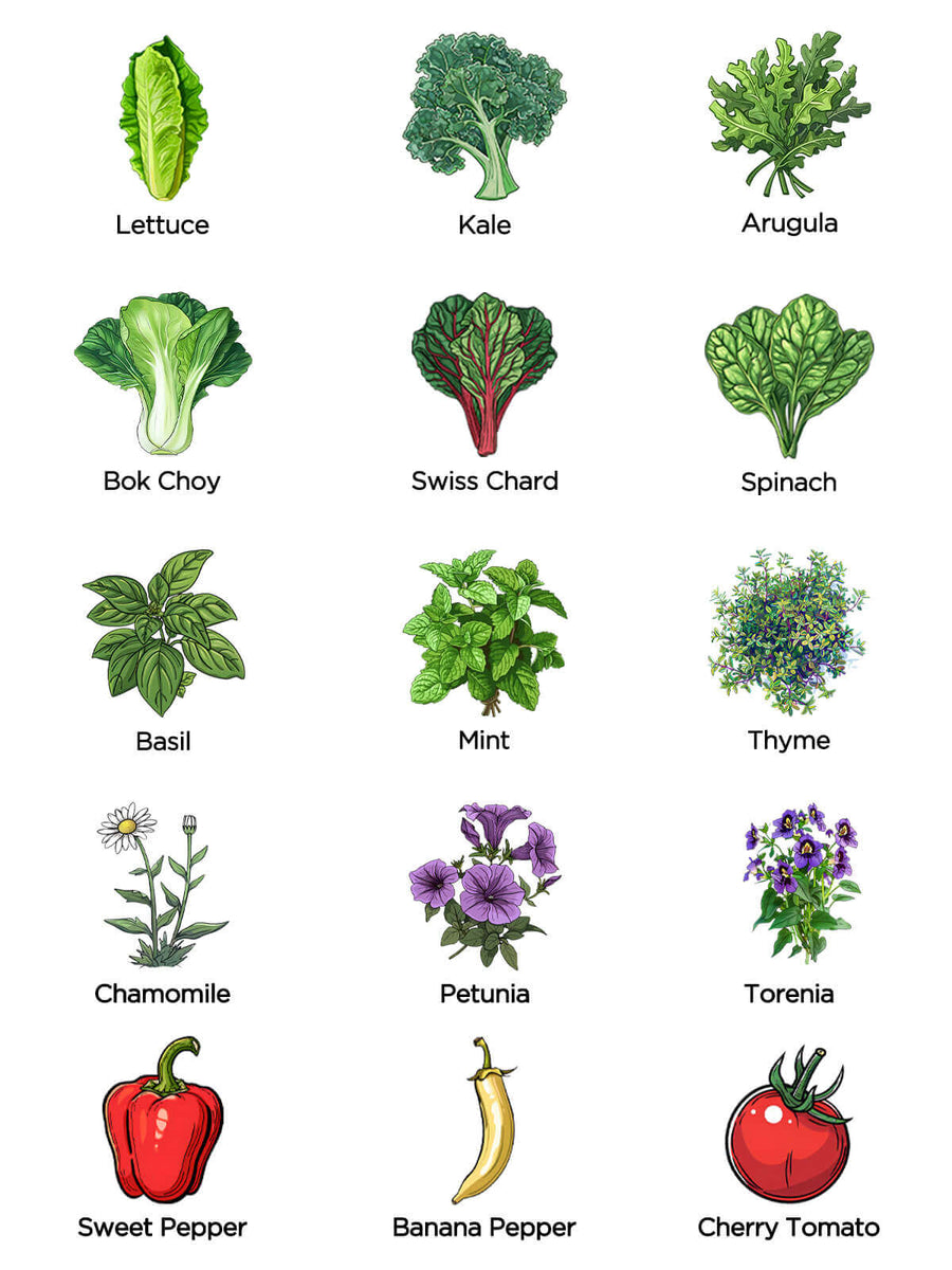 LetPot® indoor Garden, Hydroponic Smart Planter with App Control