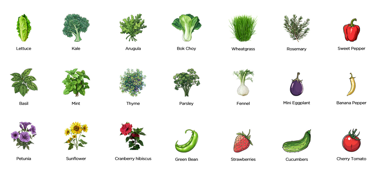 LetPot® indoor Garden, Hydroponic Smart Planter with App Control