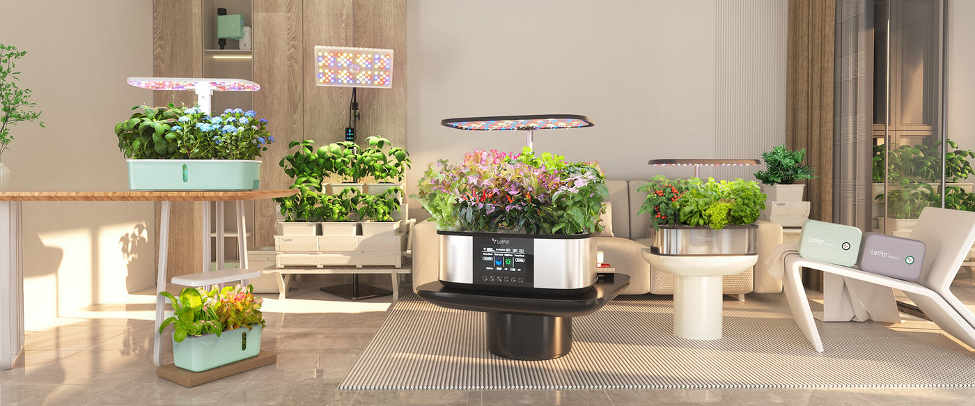 LetPot® indoor Garden, Hydroponic Smart Planter with App Control