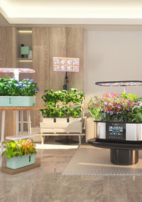 LetPot® indoor Garden, Hydroponic Smart Planter with App Control