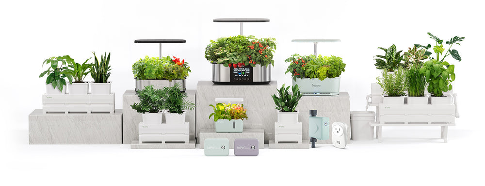 LetPot® indoor Garden, Hydroponic Smart Planter with App Control