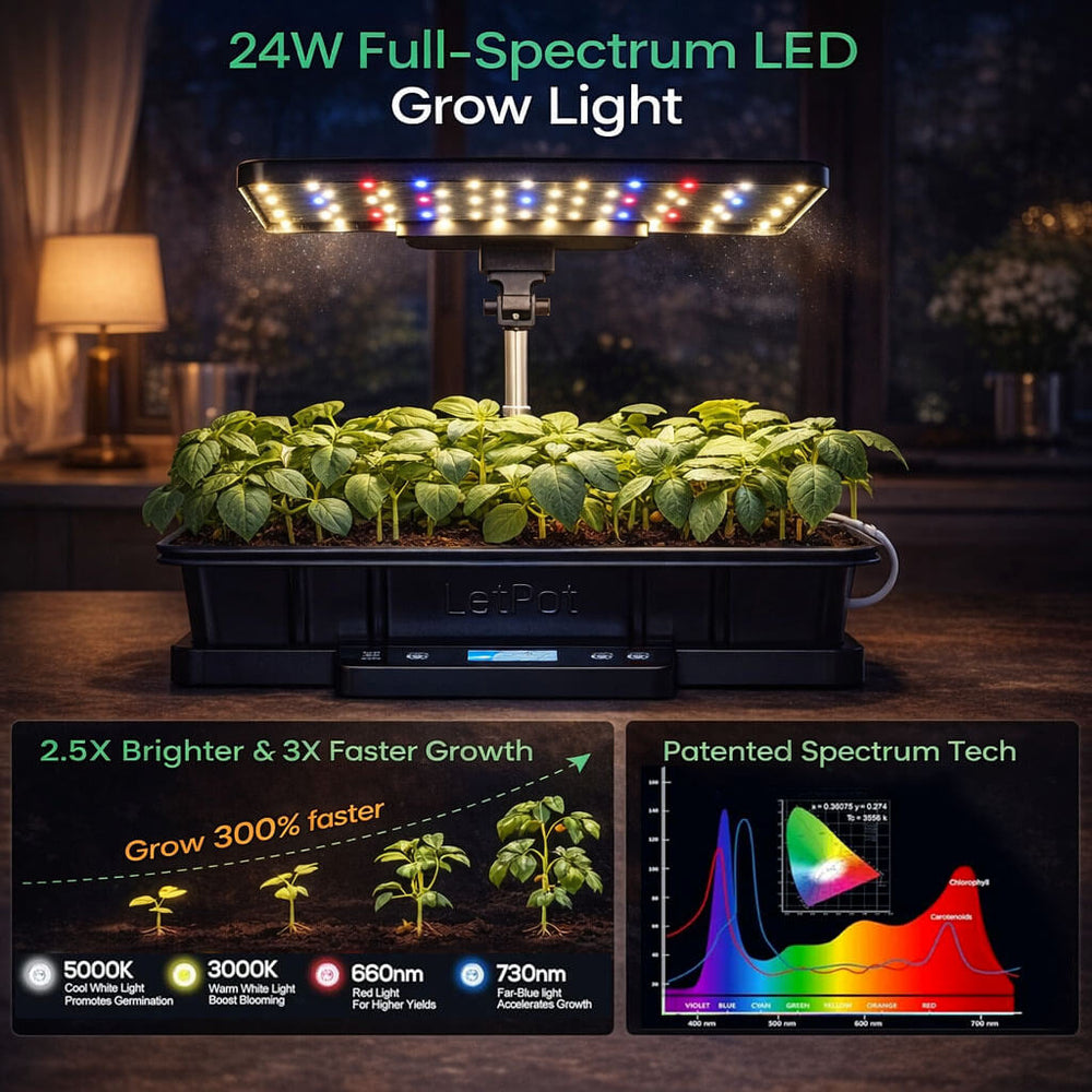 SS-Pro Smart Seed Starter Kit | LetPot