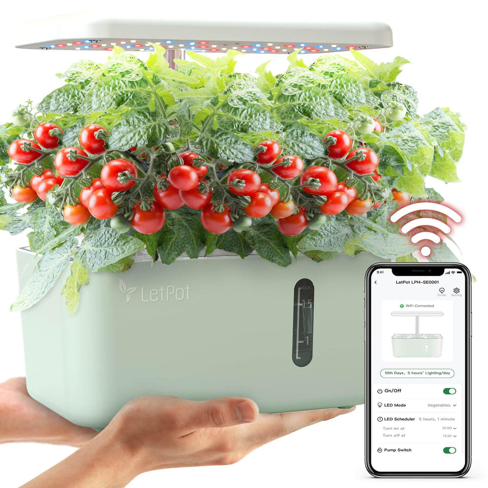 LetPot Mini Indoor Hydroponic Garden with App Control, Indoor growing System