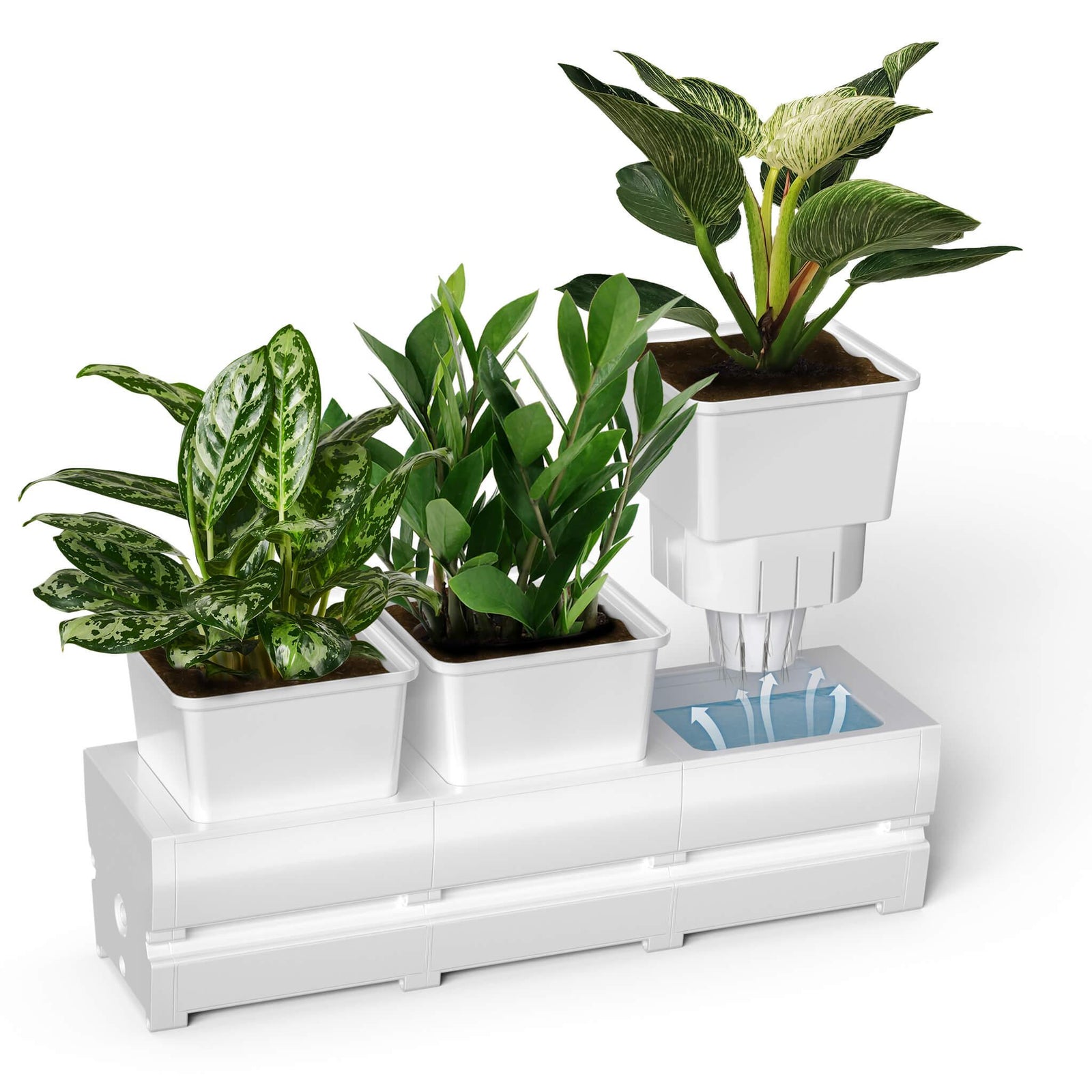 Smart Modular Planter Self-Watering System - LetPot®