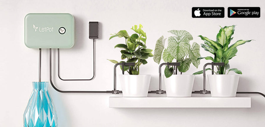 Smart Modular Planter Self-Watering System - LetPot®