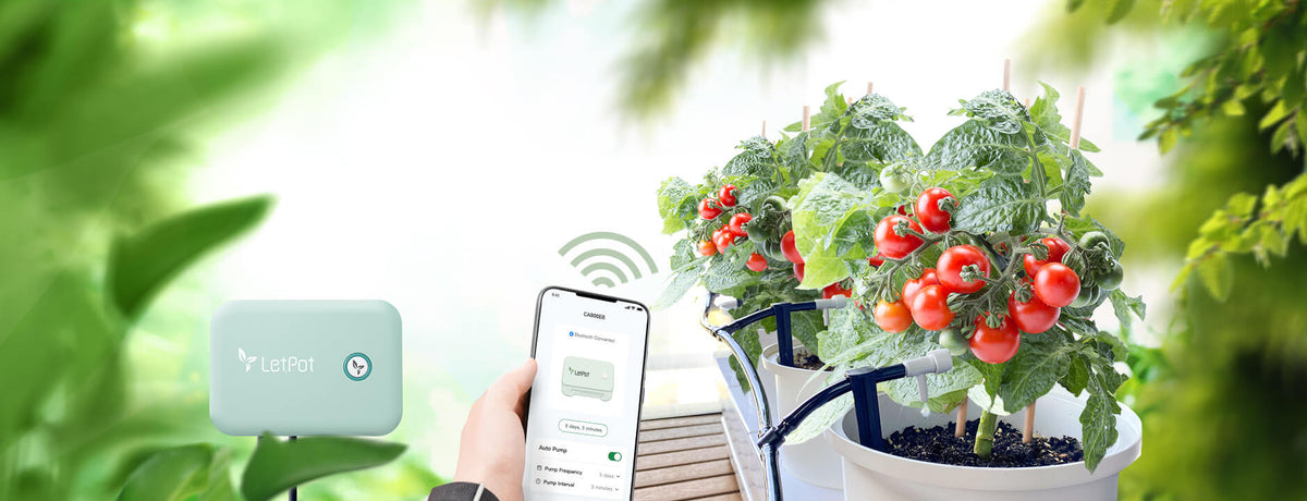 LetPot® indoor Garden, Hydroponic Smart Planter with App Control