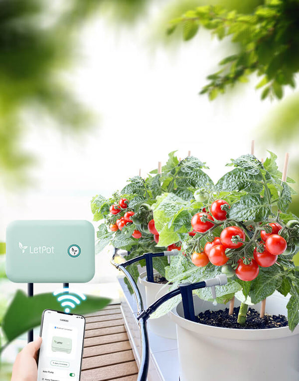 LetPot®: Smart Garden, Hydroponic Planter, Plant Waterer, and More