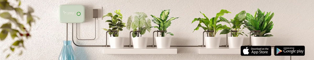 Drip Irrigation System: Automatic Watering Device, Self-watering for ...