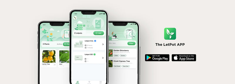 LetPot App Download