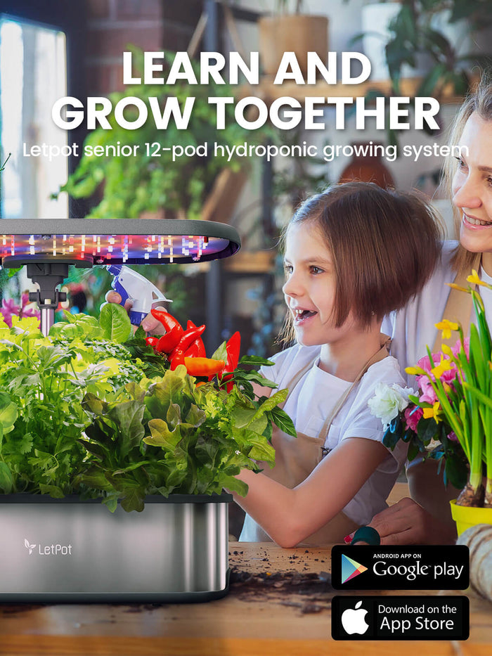 LetPot® indoor Garden, Hydroponic Smart Planter with App Control