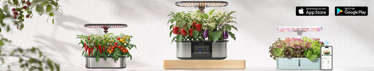 App controlled indoor hydroponic planters - LetPot®