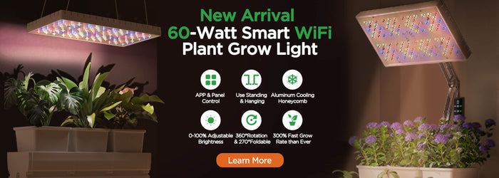 LetPot® indoor Garden, Hydroponic Smart Planter with App Control